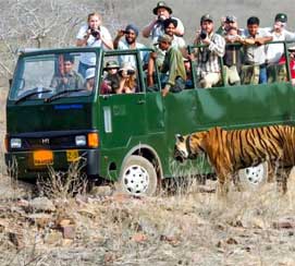 Offbeat Wildlife Experience in India – Titlyy Travels